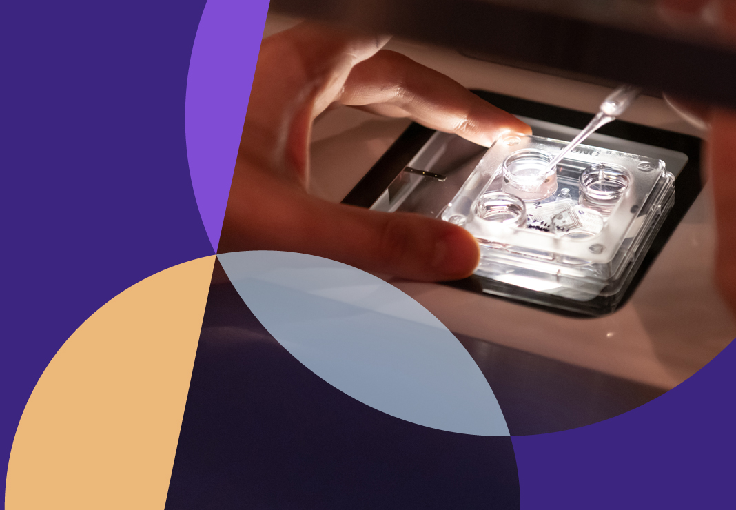 Egg freezing | Imperial College Healthcare Private Care